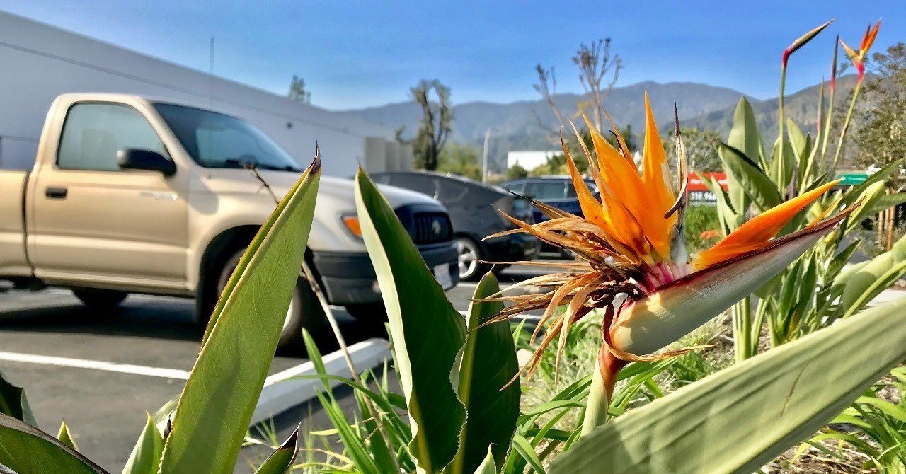 Day 4｜Kanta Kurata