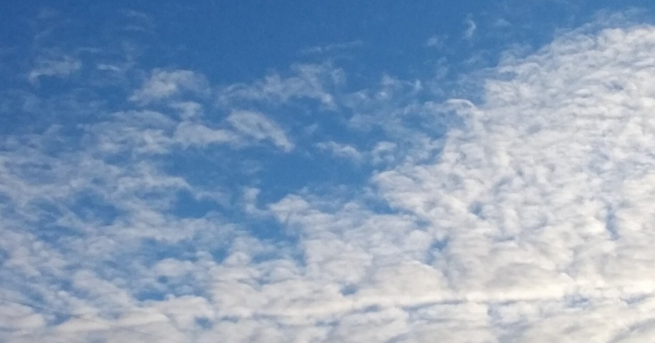 March 2nd, 2024｜Kyoko Toro