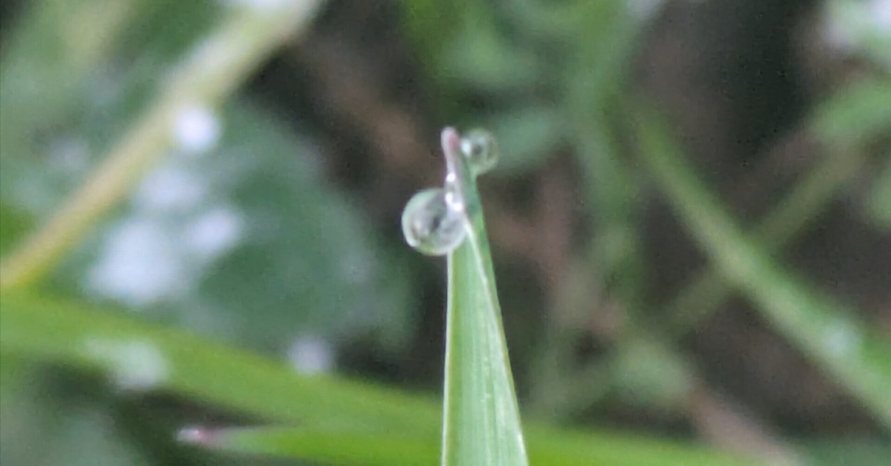 笑っちゃうし泣いちゃう動画｜ichiro70