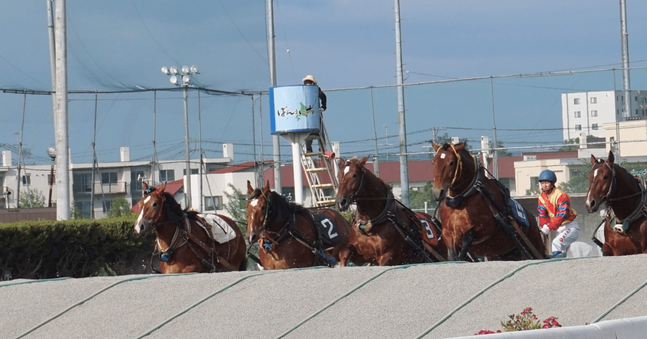 帯広11R｜めっさん