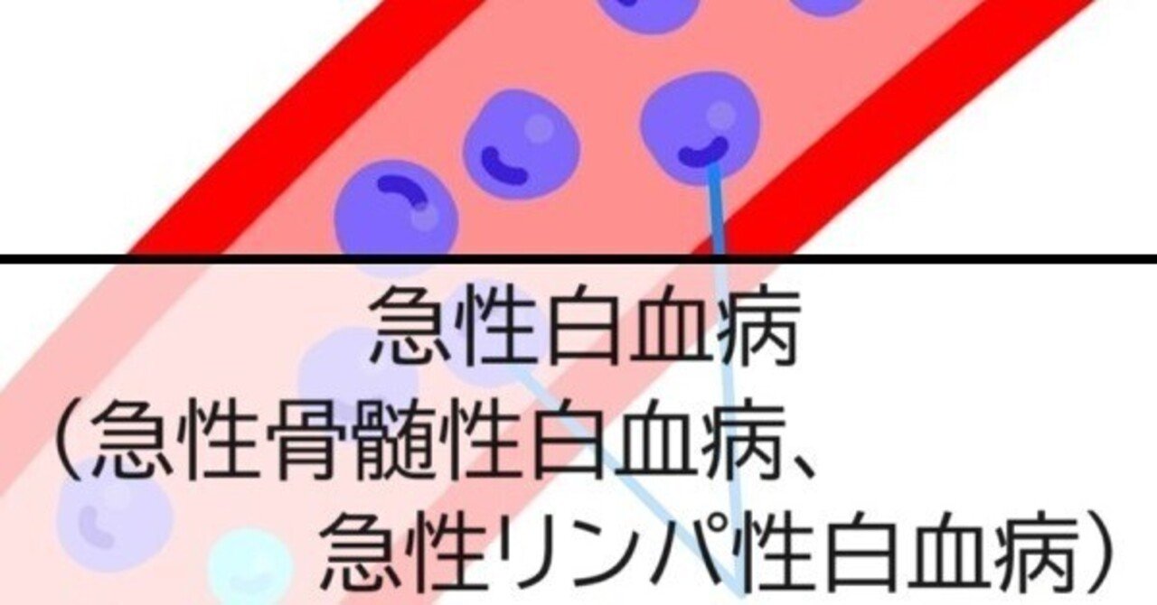【完全公開はnoteだけ】サクッとまるわかり！急性白血病（急性骨髄性白血病、急性リンパ性白血病）の看護診断｜なんでなんだナーシング30