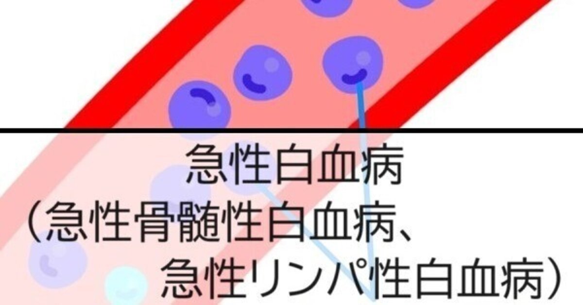 【完全公開はnoteだけ】サクッとまるわかり！急性白血病（急性骨髄性白血病、急性リンパ性白血病）の看護診断｜なんでなんだナーシング30