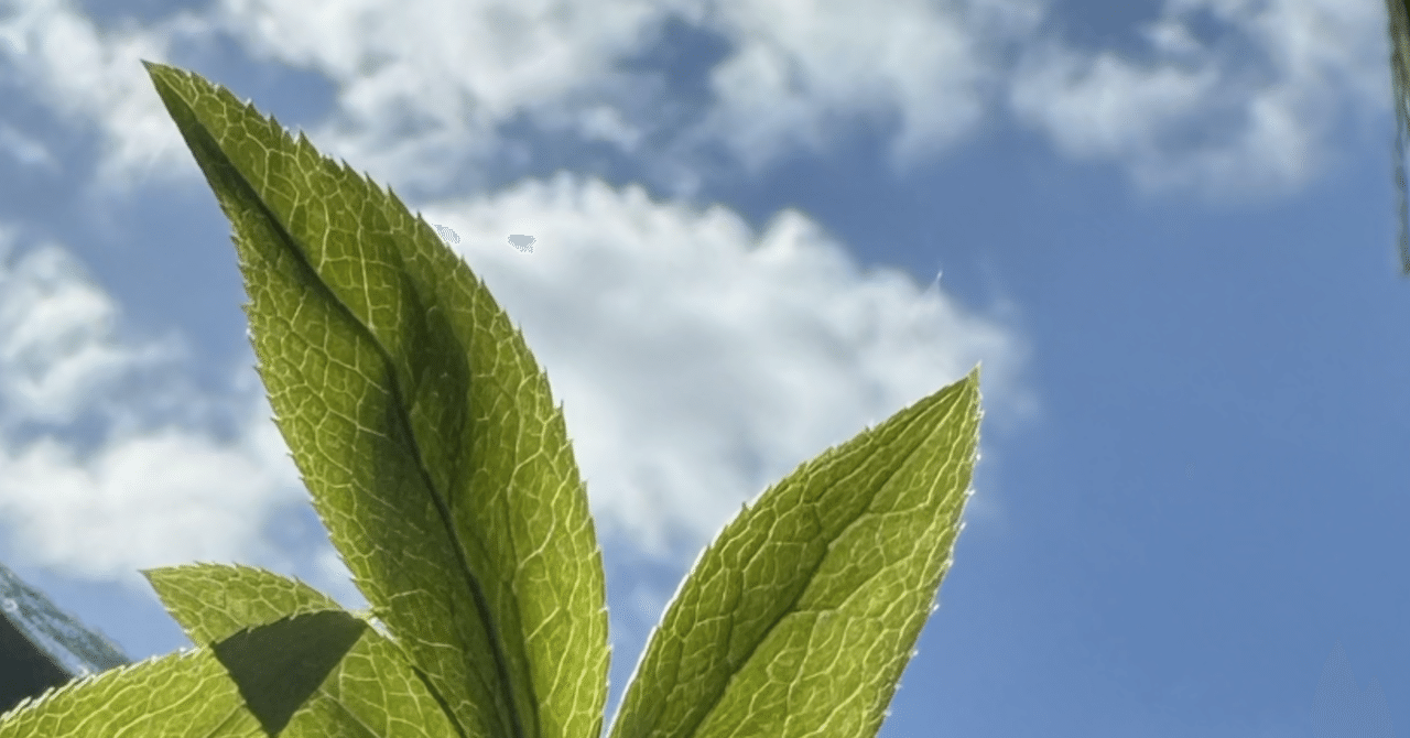 新玉出てきた｜kyo☆ko