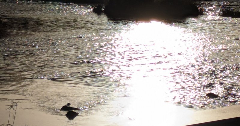 2巻212番〜作者 柿本人麻呂｜ichiro70