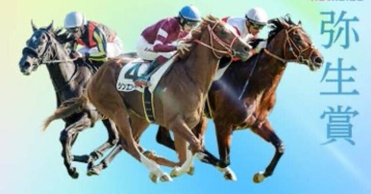 33 中央競馬中山、阪神2会場全レース予想セット｜mia🎀競馬予想女子🐎💓無料予想公開中