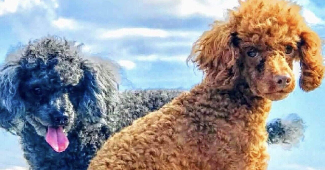 noteはじめました♪｜光恵（TOTAL-THERAPY nagi 凪）