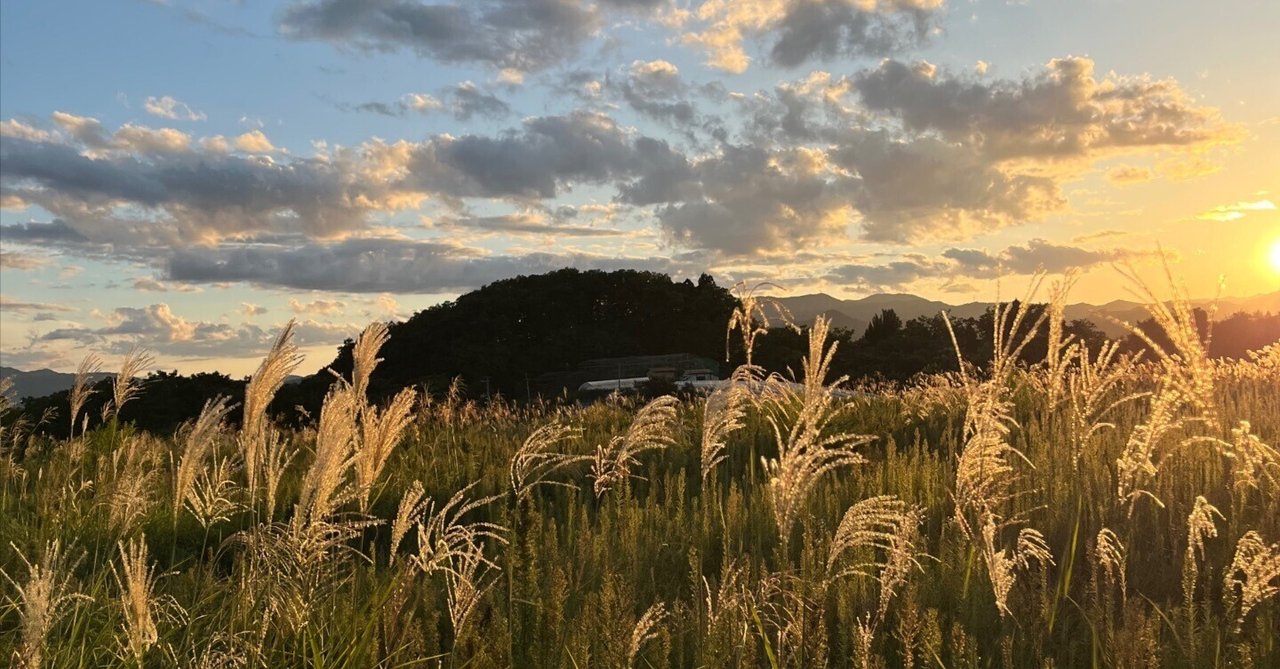 山に境界線はあるのか #15｜Shinta Ninoto