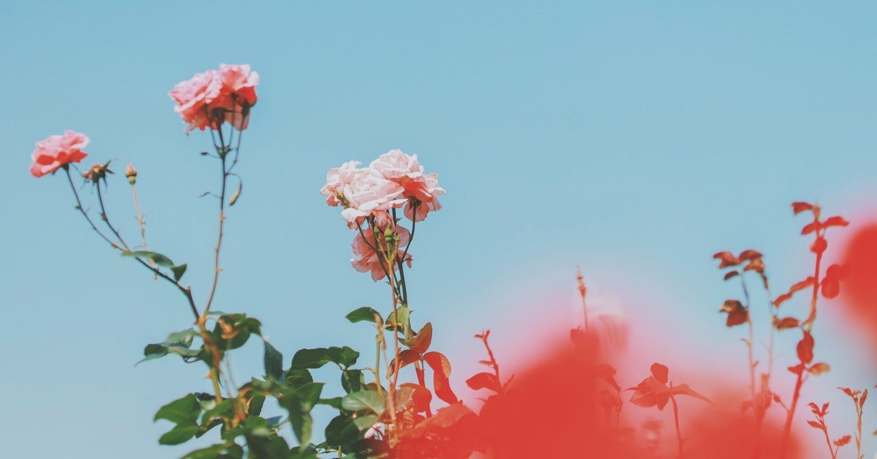 #99 看護師免許の必要性｜hanaco*。保健室Nsの呟き