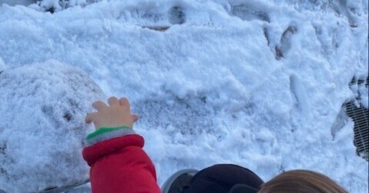 検査入院｜Shuri_0220