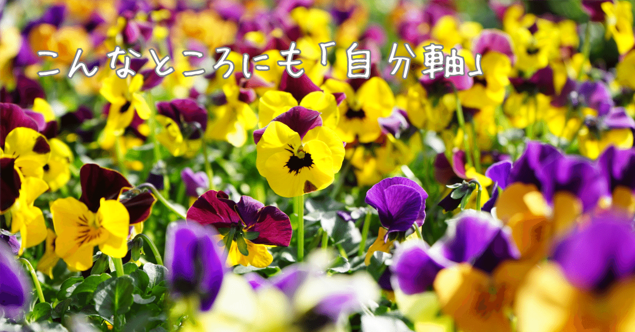 Iro Eriko【少しずつ小さく起こすキセキ】｜note