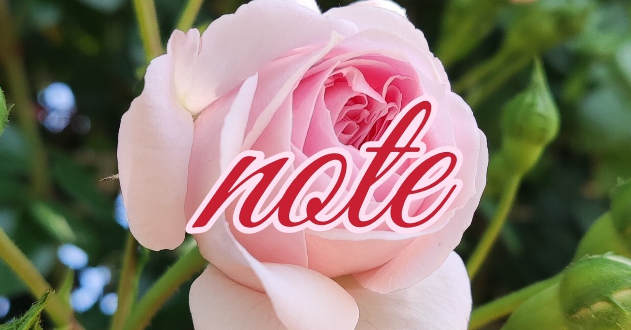 【振り返りnote】結局何が書きたいのか｜春原美桜(miosuhara)