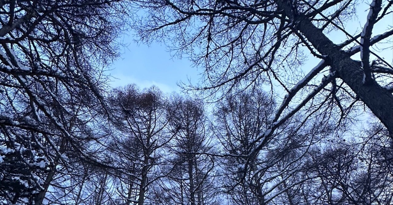 深深に閉じ込める｜Arisa Mitsui