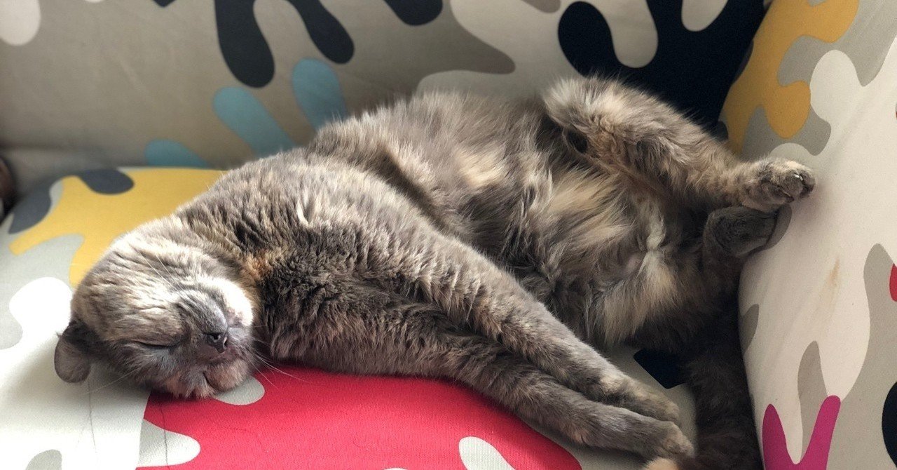 近所付き合い｜さやか｜note