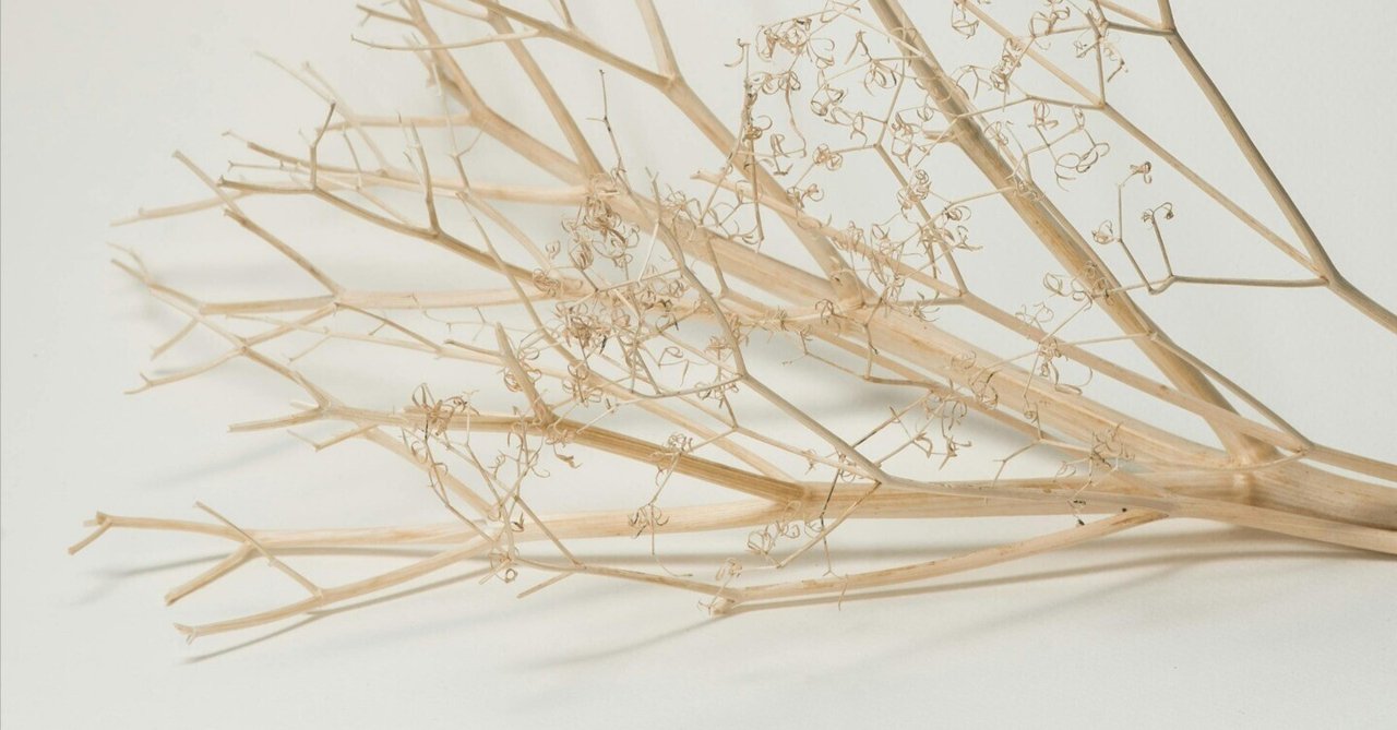 自殺は悪か？｜siro