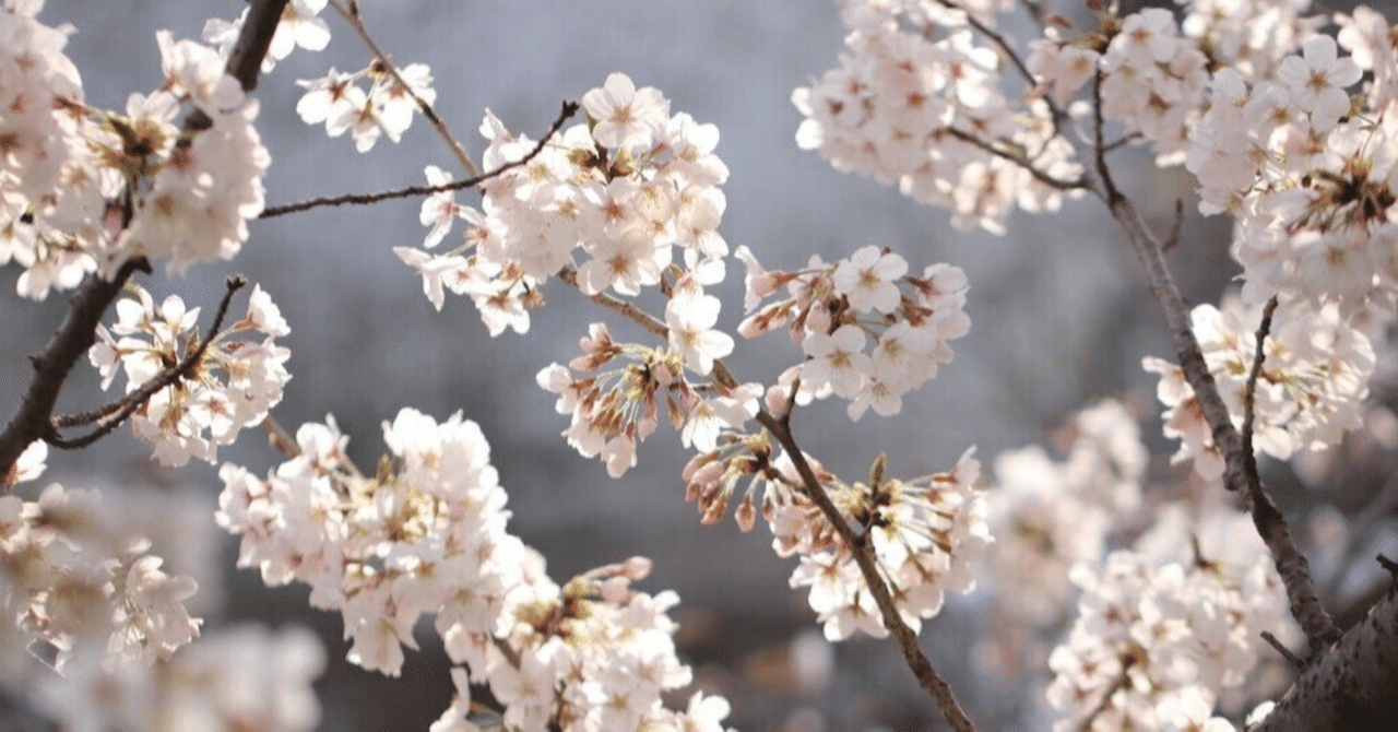 春の予感と名取ちずる｜Hiroyuki SAEKI