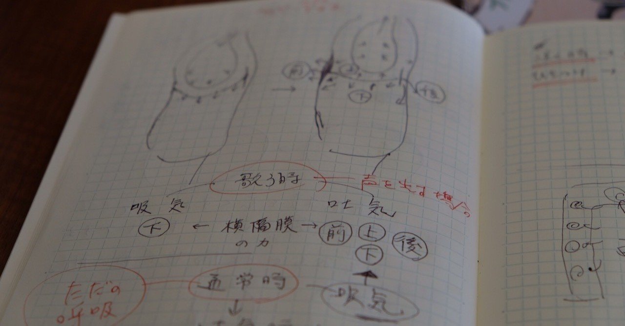 2019.7.31 筋肉を「使う」という感覚｜笹倉慎介／Shinsuke Sasakura｜note