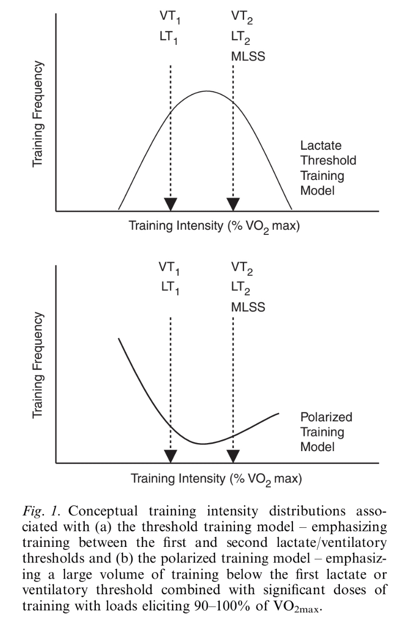 ポラライズドトレーニングにおける低強度と心拍数の目安｜opnchan