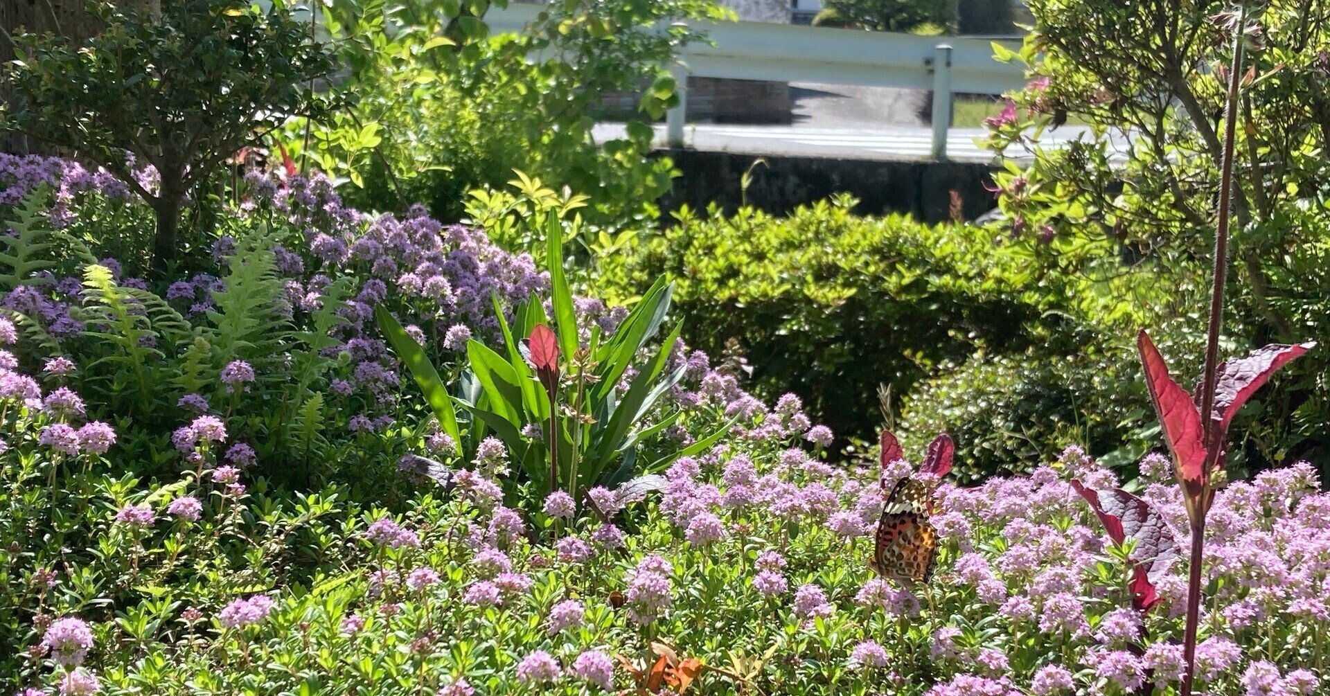 puutarha teetä｜note