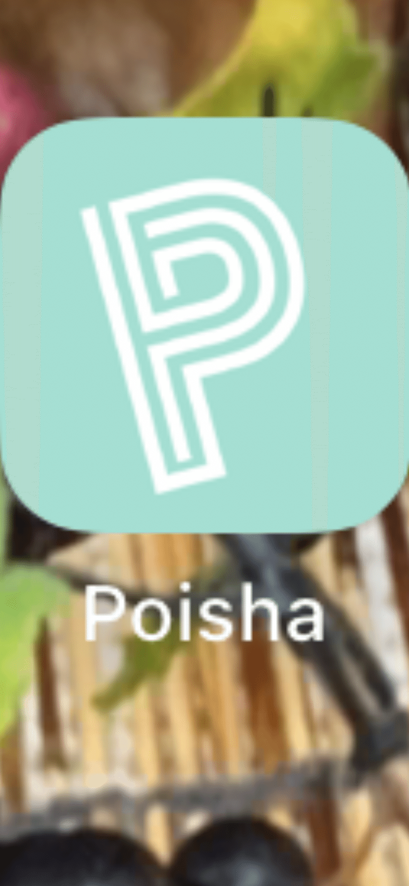 写真投稿で楽しくポイ活！流行りの「Poisha」やってみた｜くーぽん