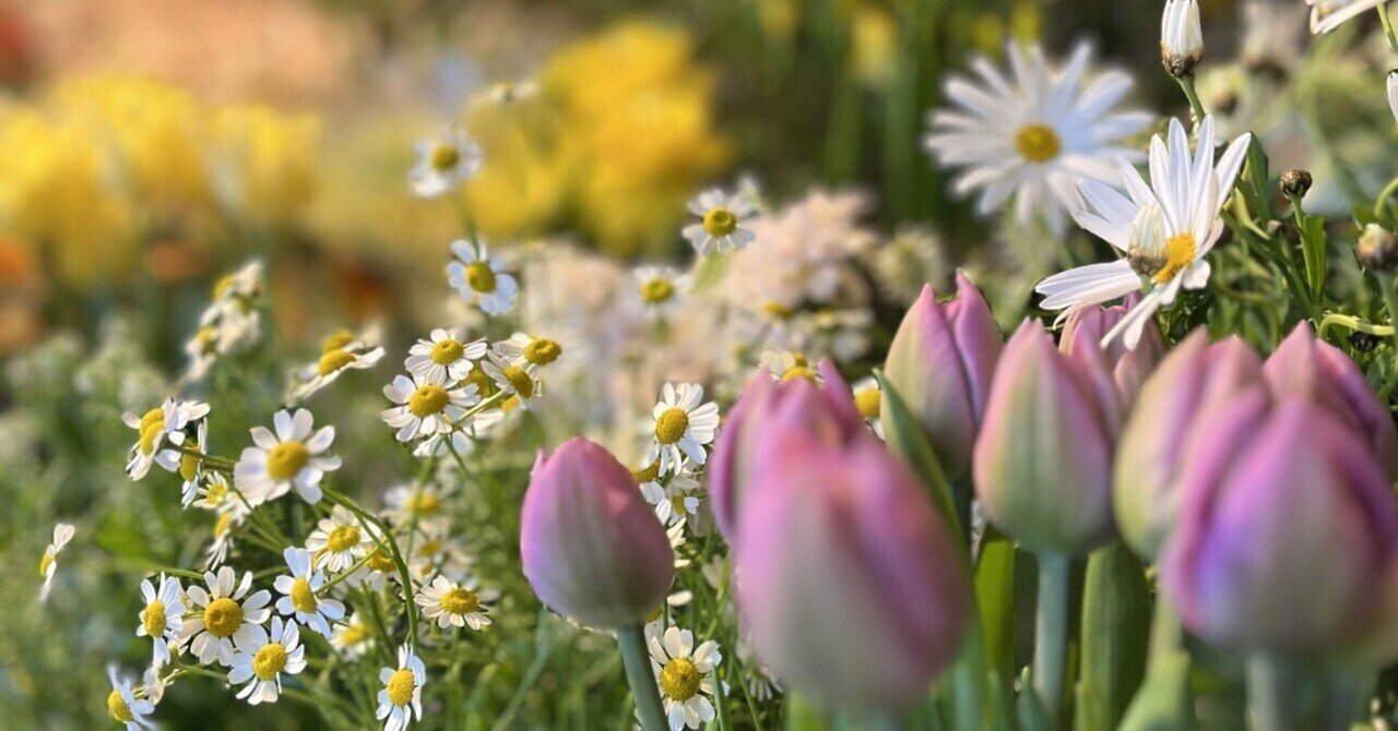 normal off days diary.24.02〜03｜nyao