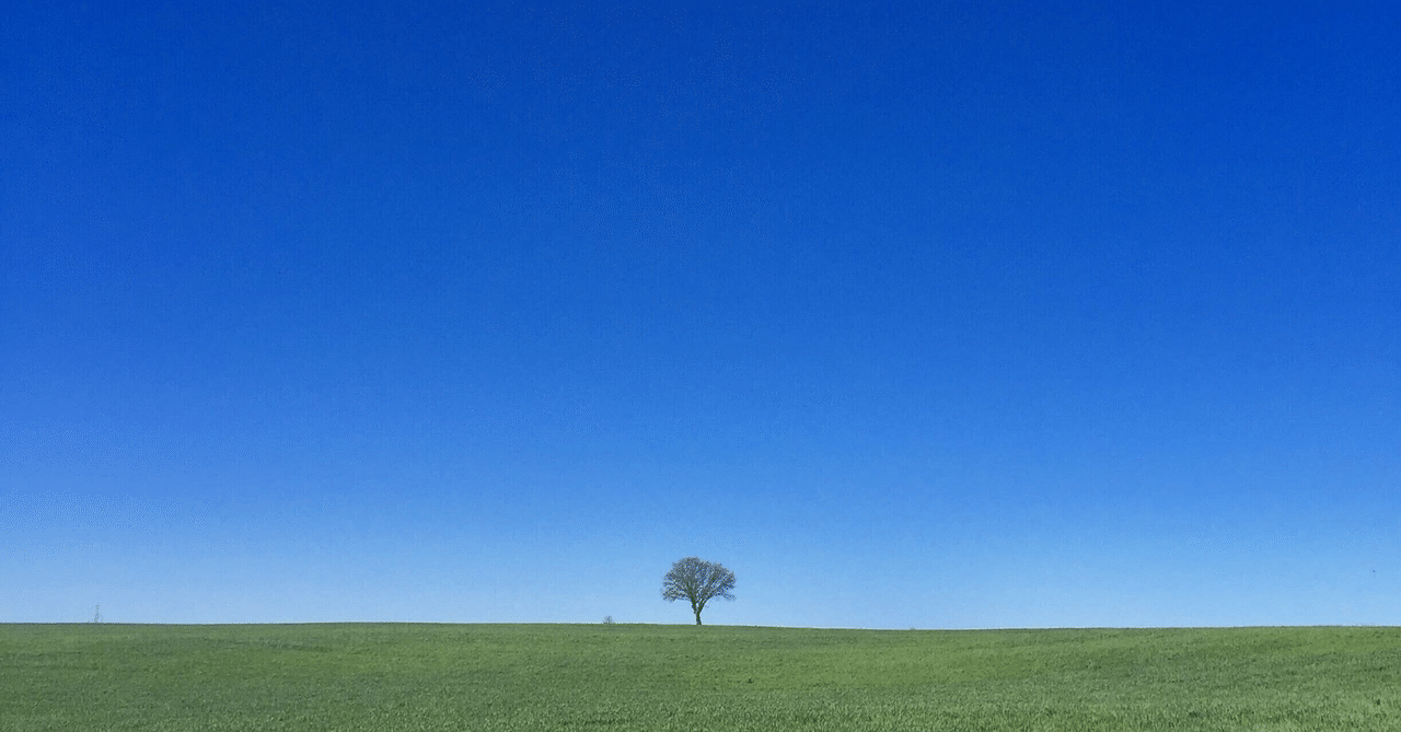 まず始めてみるということ。（期待値と感動）｜Makoto Shirasu