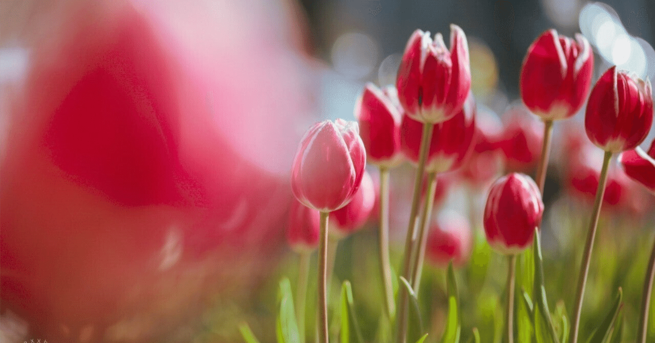 優しい方｜sacchin