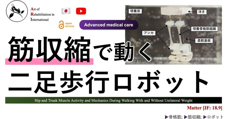 筋収縮で動く二足歩行ロボット|super Human 理学療法士/保健学博士 Phd