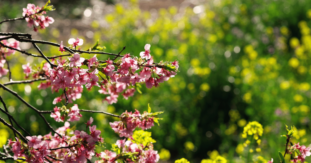 5万円台で生成AIに理想的なVRAM 16GBの「Intel Arc A770」でStable Diffusionが使えるか試してみた｜blue06_2022
