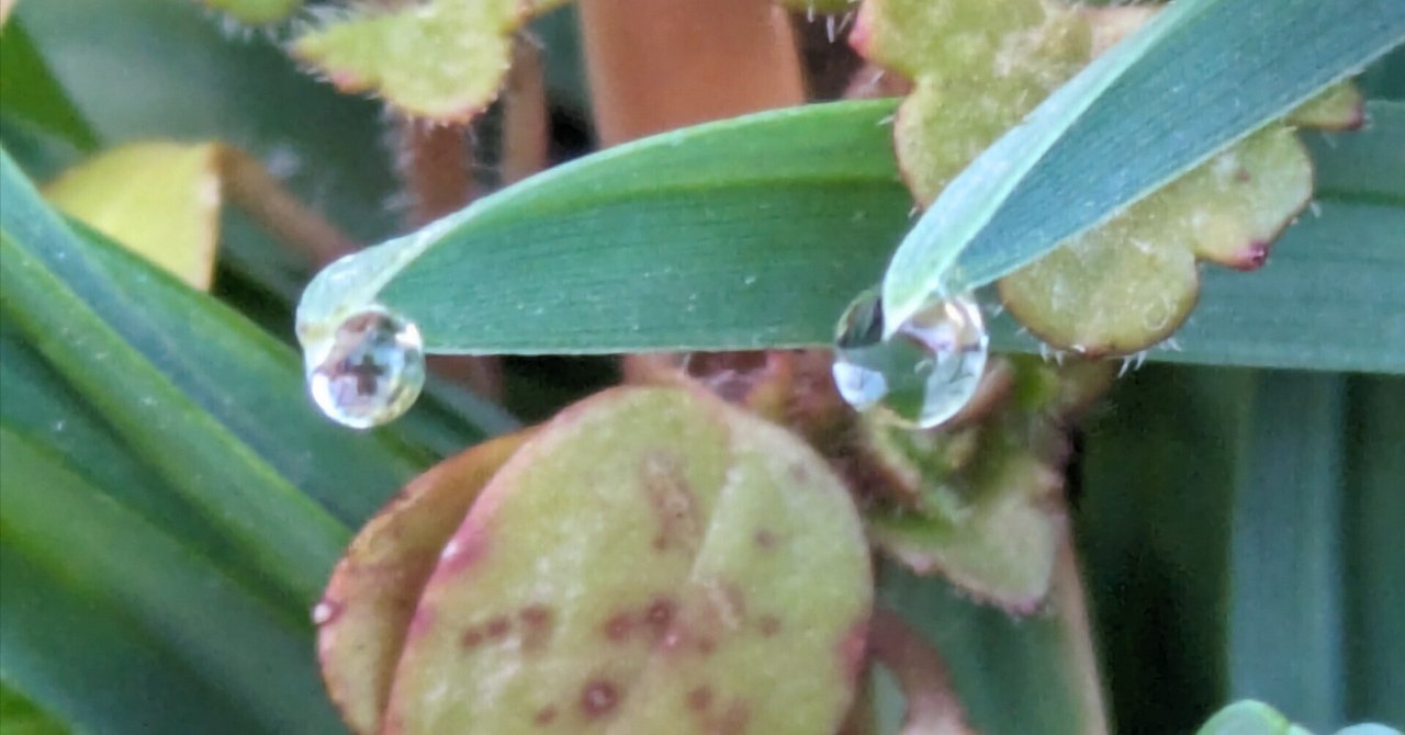 笑っちゃうし泣いちゃう動画｜ichiro70