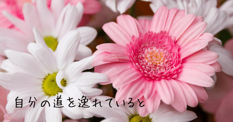 Iro Eriko【少しずつ小さく起こすキセキ】｜note