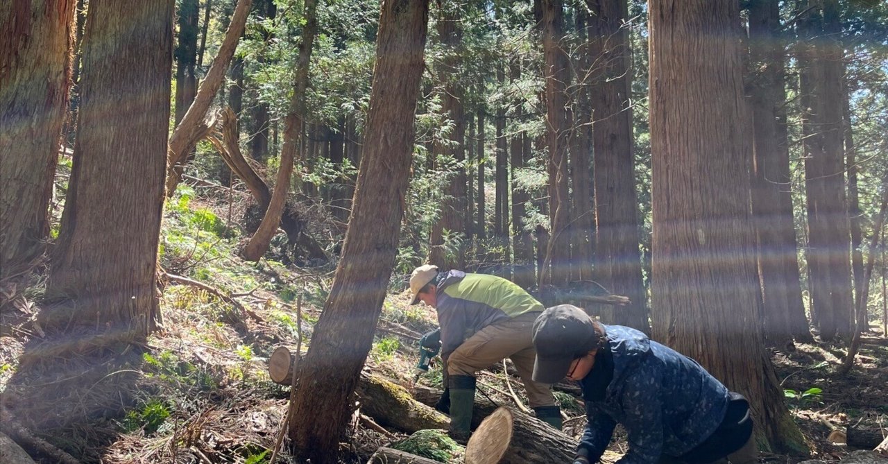 山は巡る #16｜Shinta Ninoto