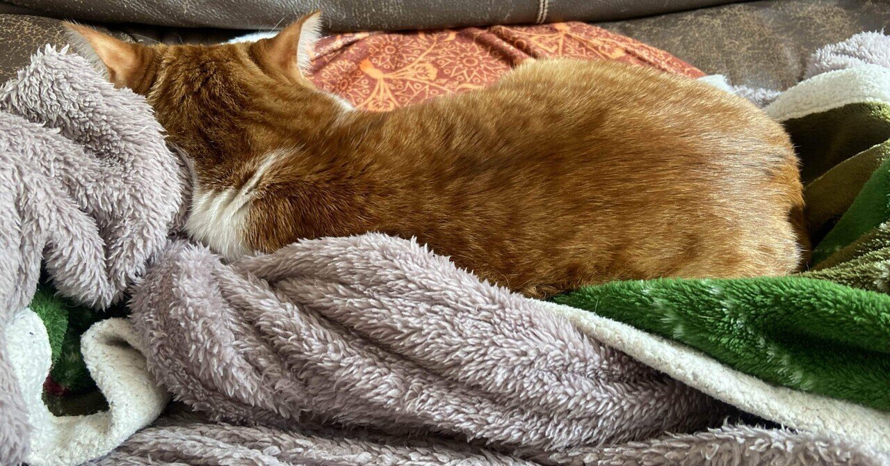 ささやかなこと 2｜mutaro