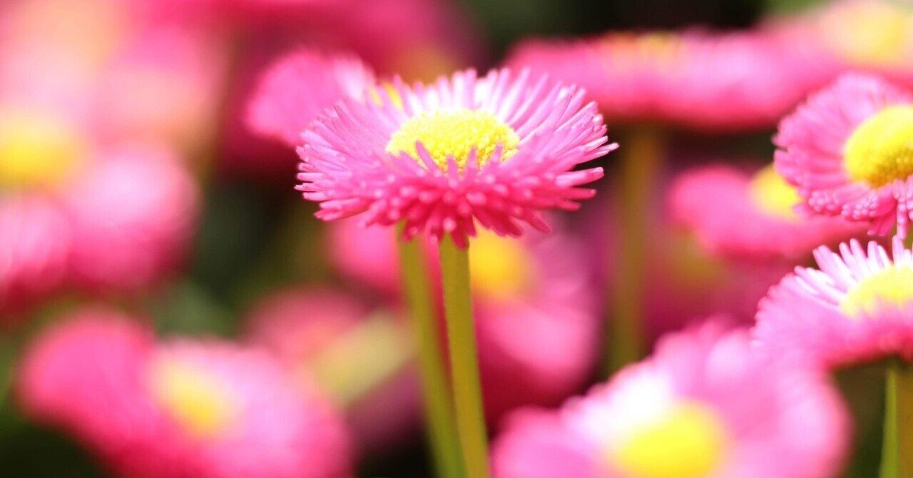 味変｜Imatomi Aiko