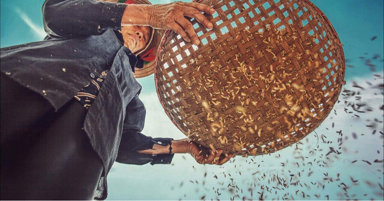 Biblia studere ⅩLⅤ, Luc8:4-8、種を蒔く人｜harimako