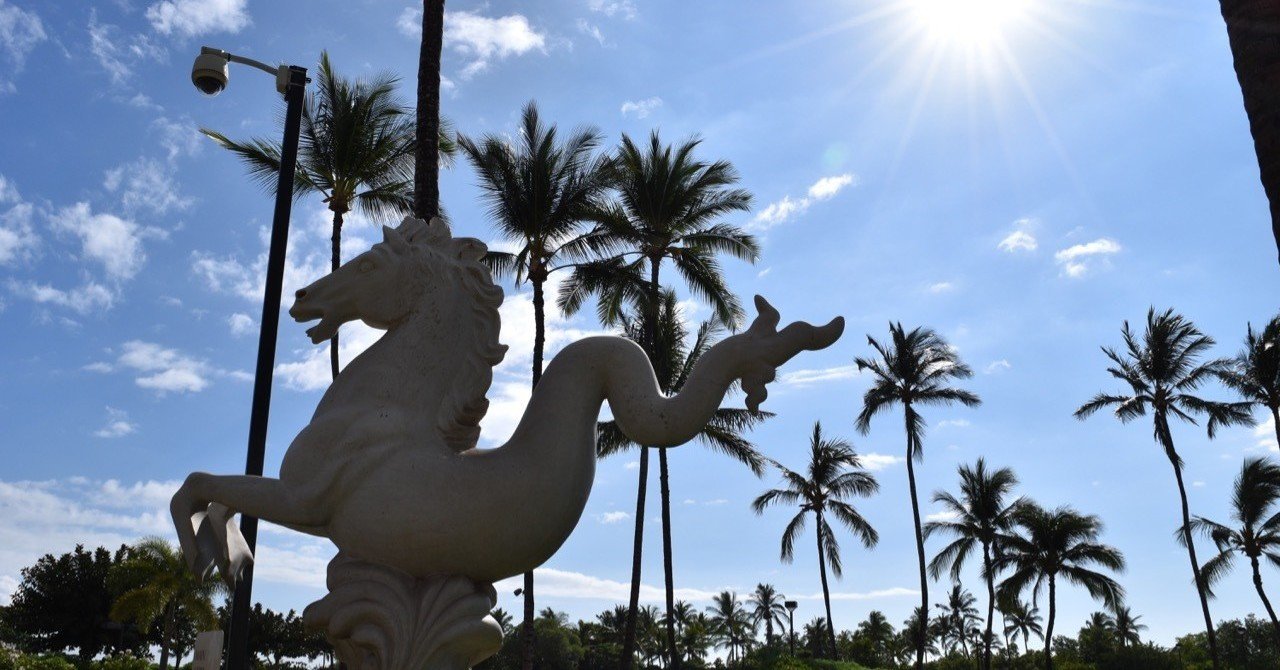 人生の基本中の基本が、やっぱり大事なんだなぁと気付かされた7月｜のぐち まゆみ（わたしの三日坊主日記）