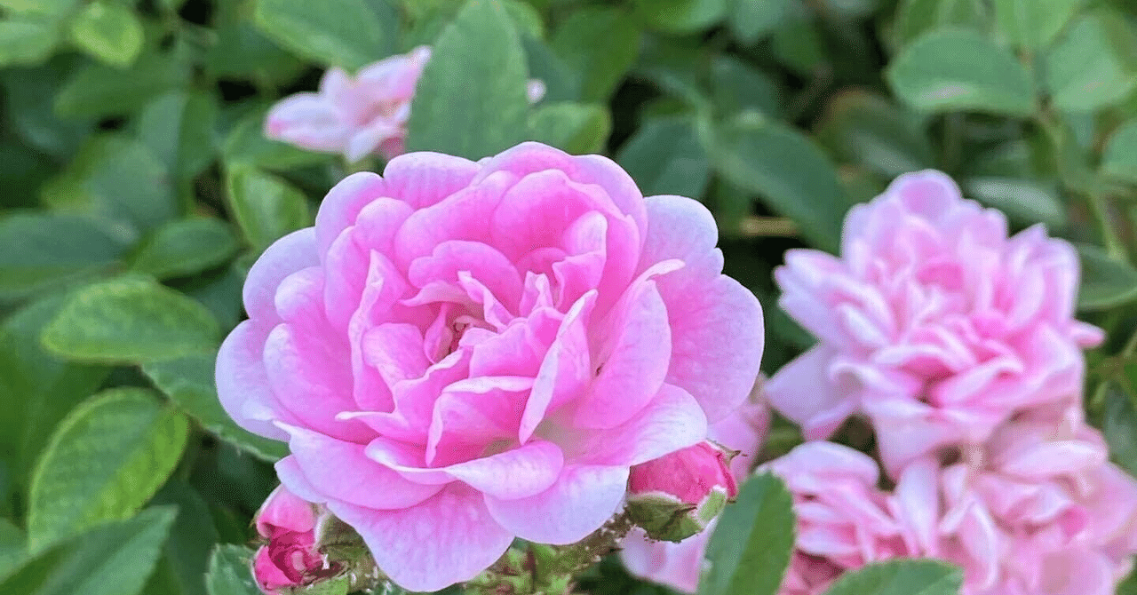 claude 入門｜blue06_2022