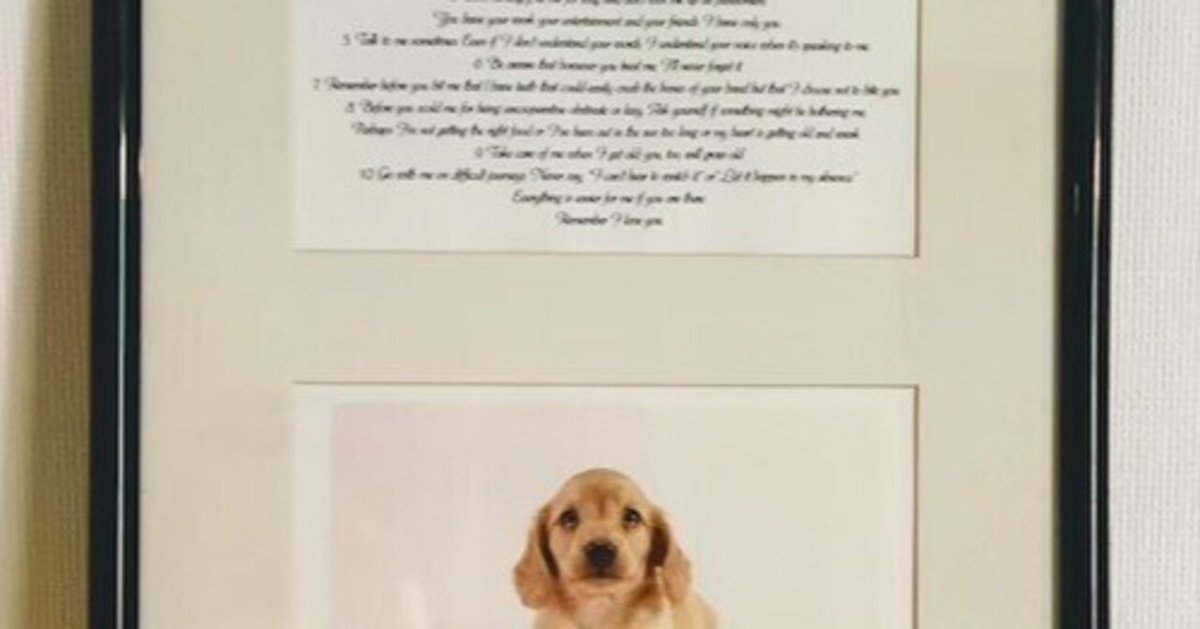 犬の十戒〜The Ten Commandments of Dog Ownership〜｜Yuki Mizumoto（水本 有紀）