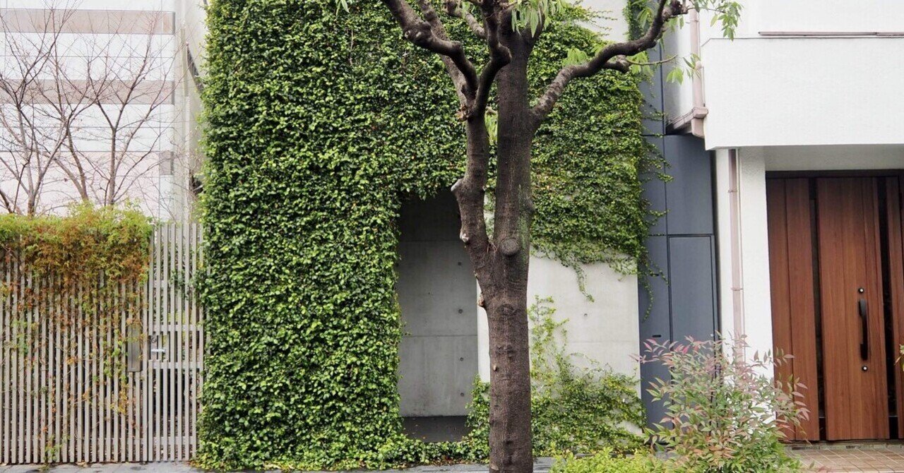 一級建築士が巡る壁面緑化マップ⑤｜Tomoki Inoue