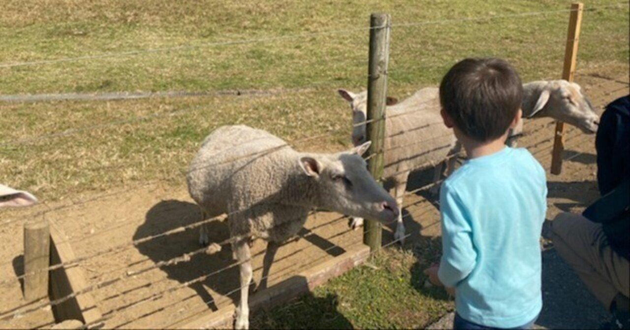 QST病院｜Shuri_0220