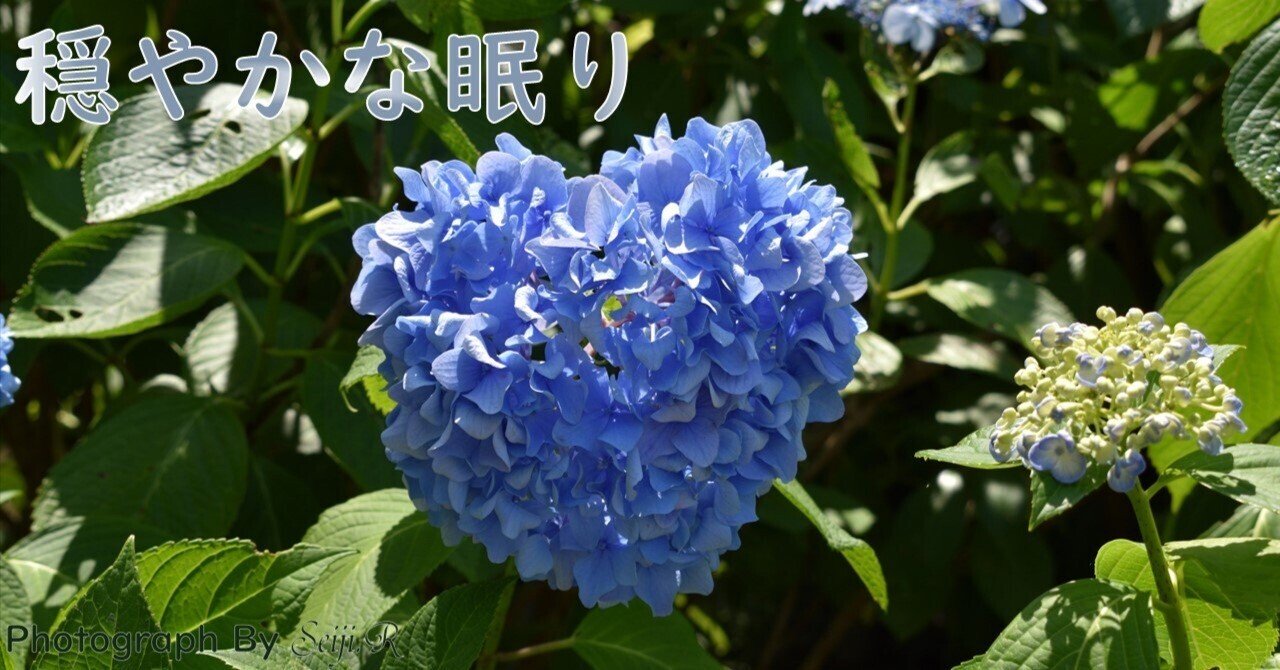 【新月の夜によむ】穏やかな眠り｜Seiji.Resonance