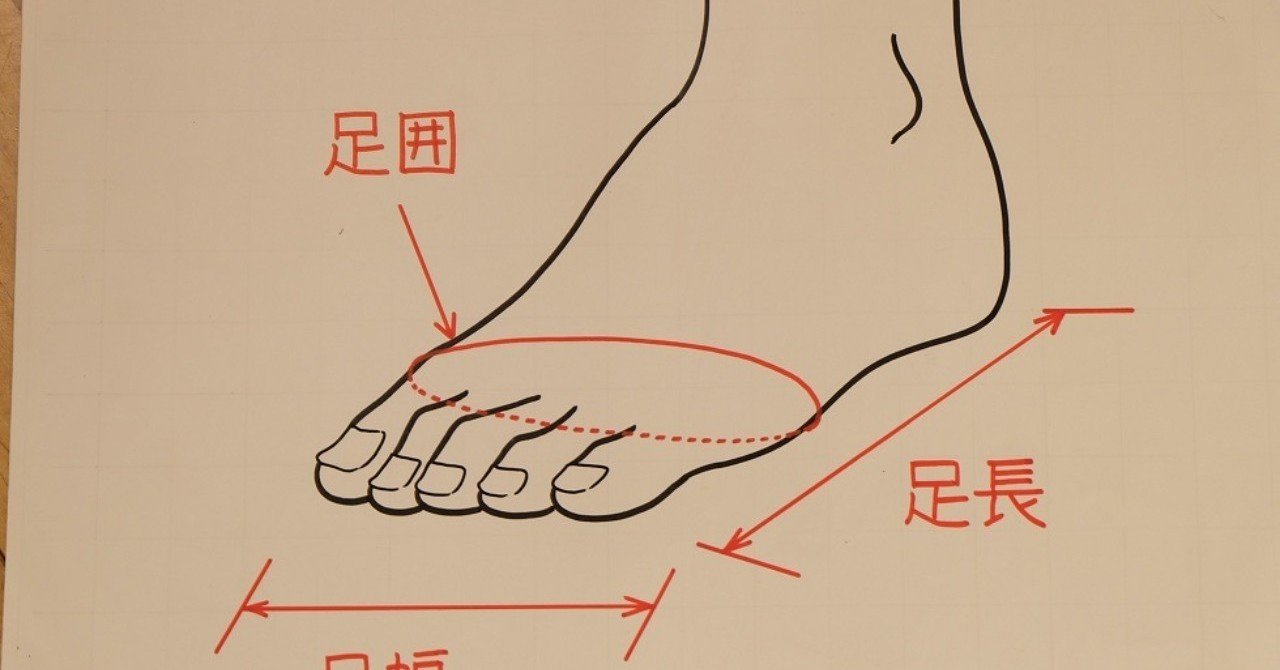 足のサイズと靴のサイズ｜岐阜の上級シューフィッター夫婦が贈るシアワセノクツBLOG｜note
