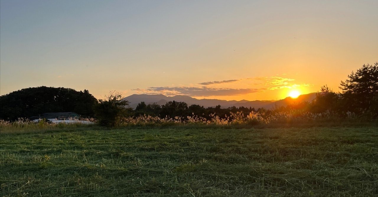 アスパラパラダイス #17｜Shinta Ninoto