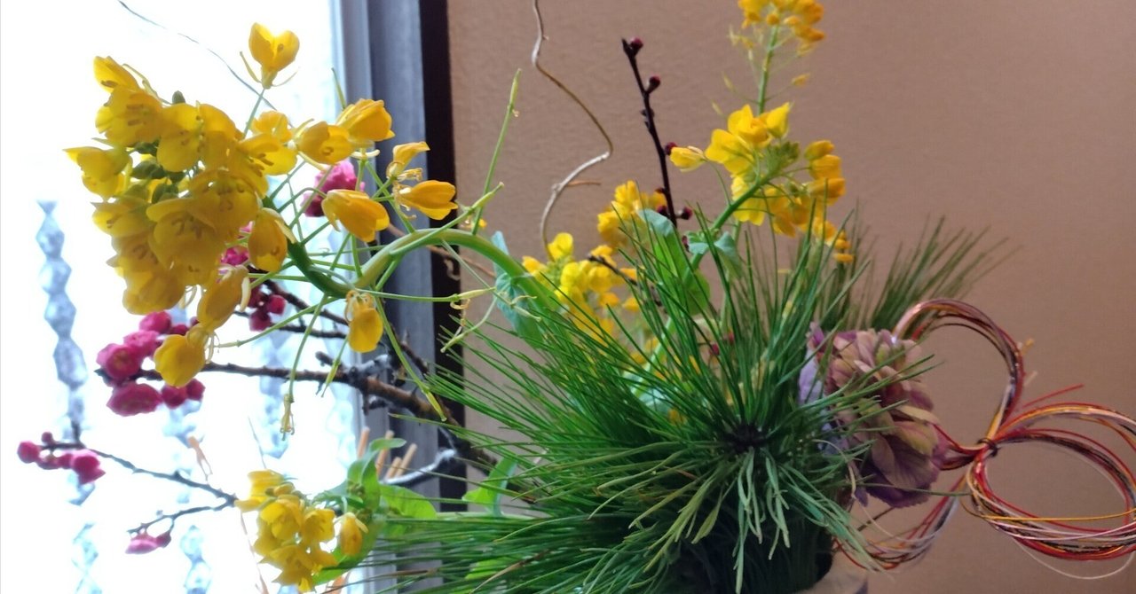 chiko hashibiro｜note