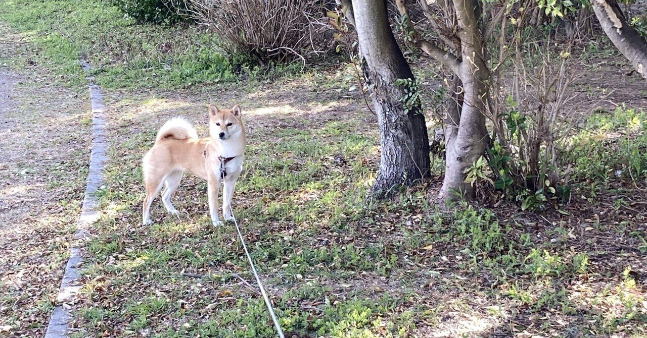 なんだかんだで結果オーライ｜723nk