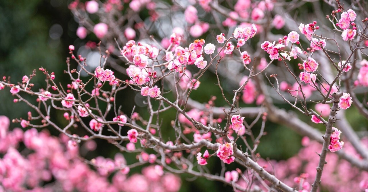 高等学校段階までの学習で身につけてほしいことby東京大学｜photo Ecru