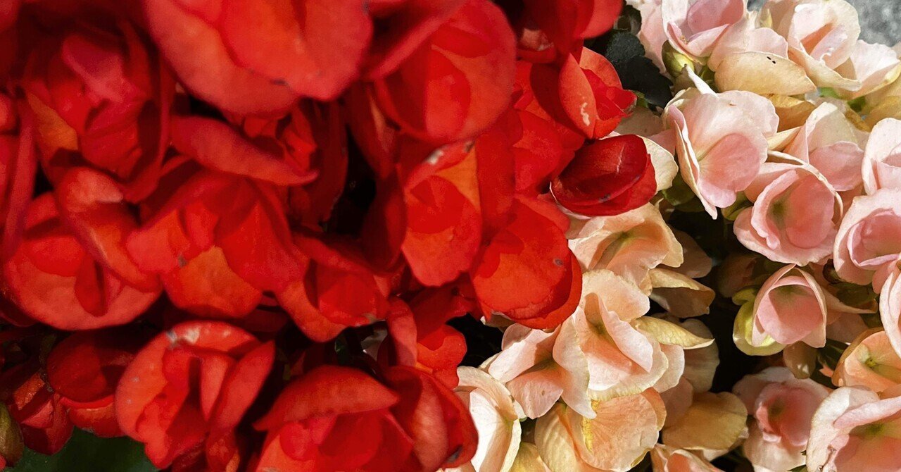 prankish/Tomo｜note