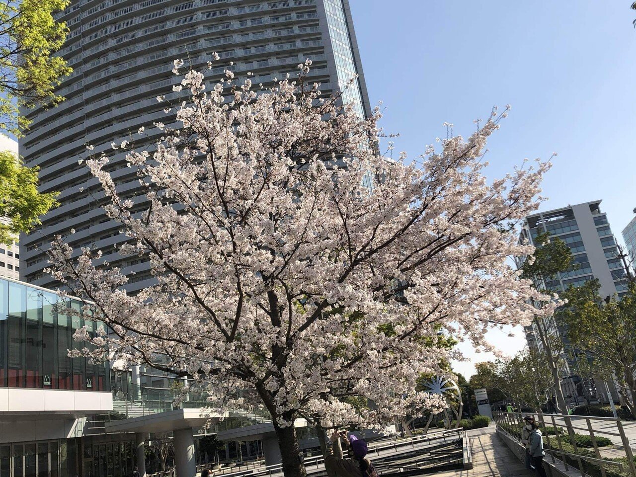 お久しぶりです。 今シーズンの投稿を再開していきます。｜Ryuki Kobayashi