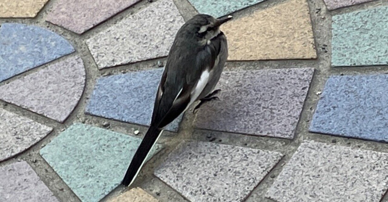 ふと・・・思う｜poporin