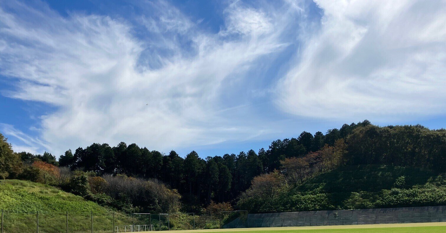 波多野 響子 Kyoko Hatano｜note