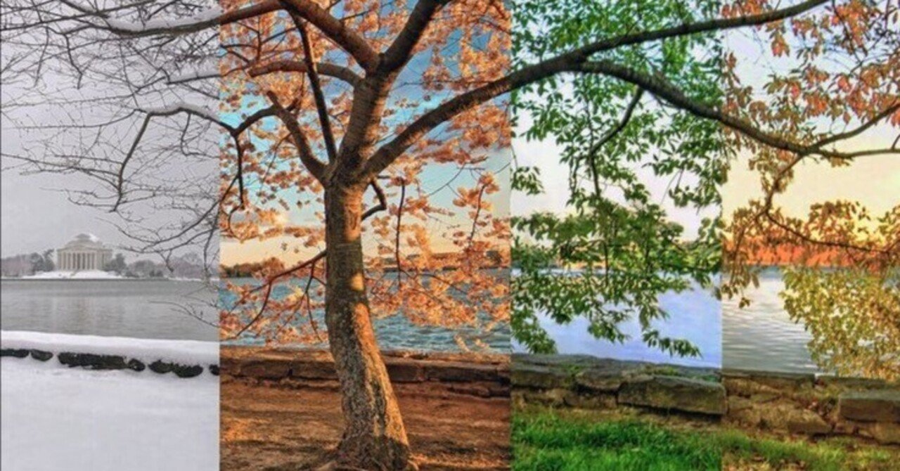 岩手で結婚式を挙げるお二人へ。もう迷わない！結婚式の日取り季節別メリット・デメリット特集！｜TSUDOI-WEDDING